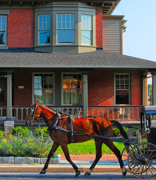 weirdly beautiful town pennsylvania ftr