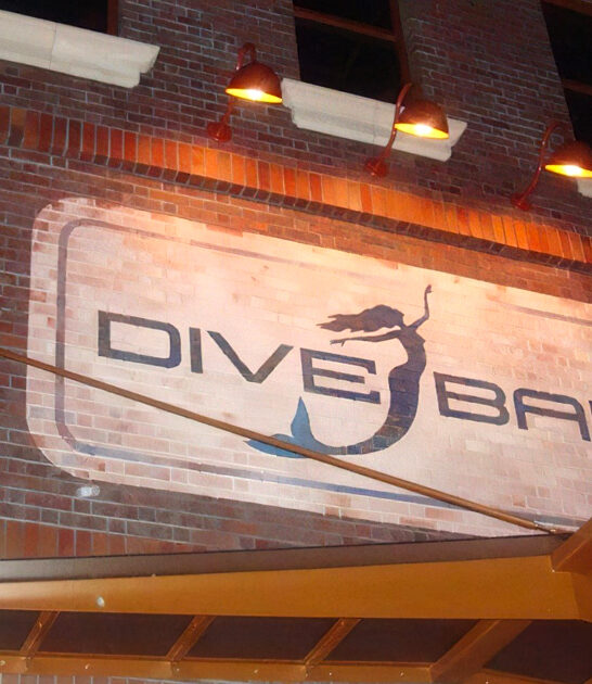 whimsical dive bar california ftr