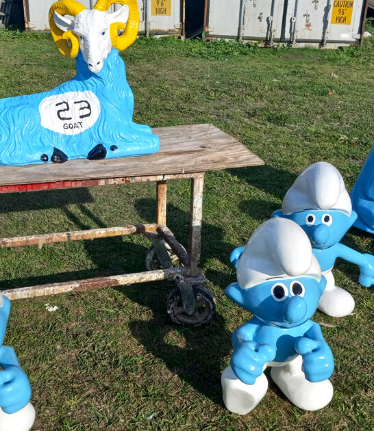 whimsical north carolina heard ftr