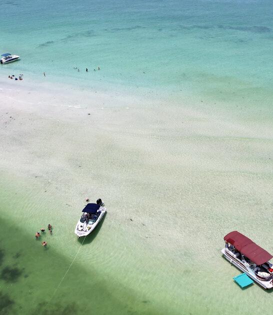 wild beauty awaits florida ftr