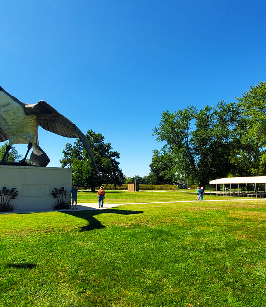 wonderfully odd attraction missouri ftr