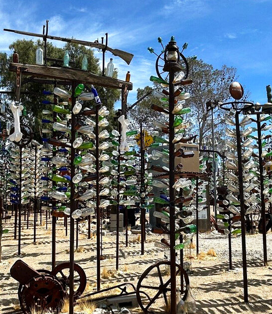 wonderfully odd ranch california ftr