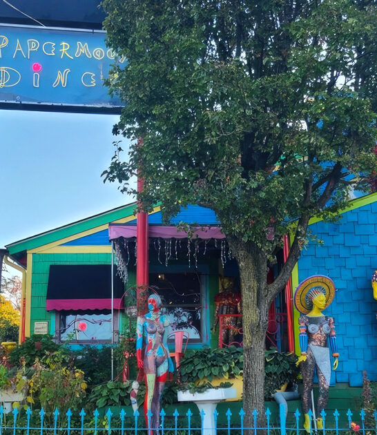 wonderfully weird diner maryland ftr