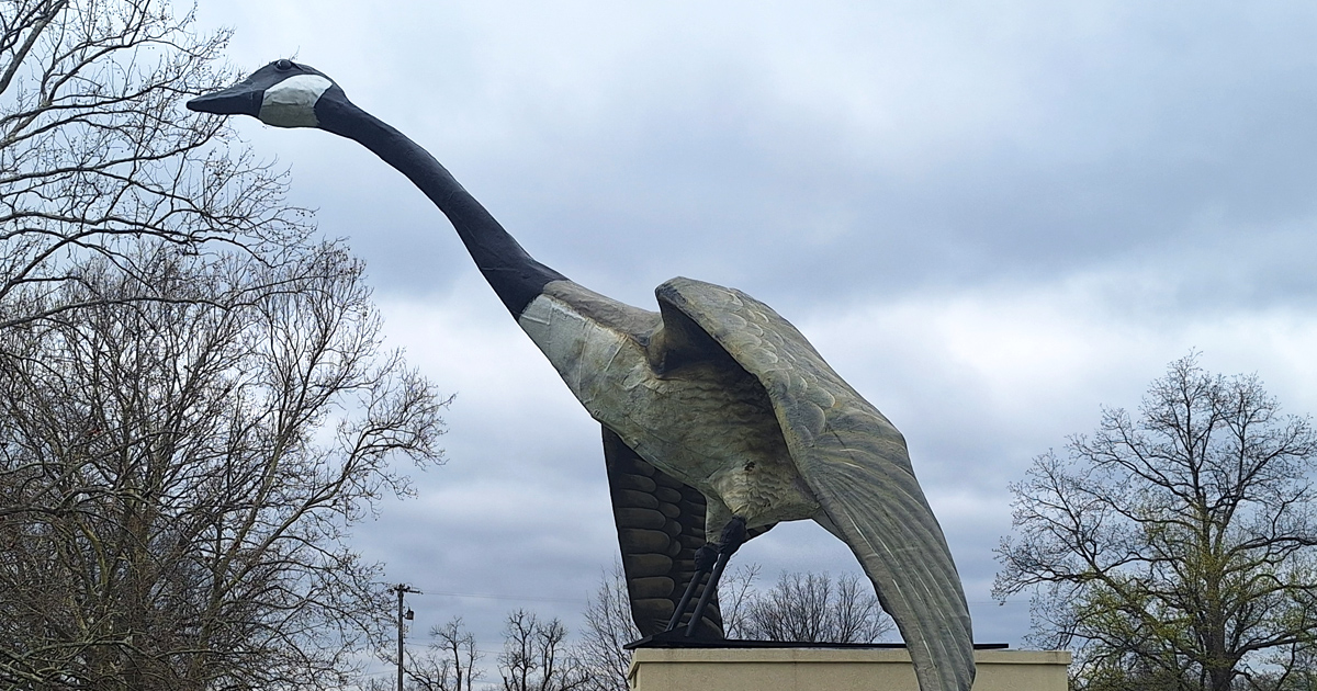 The World's Largest Goose Is In Missouri, And It's Too Quirky For Words