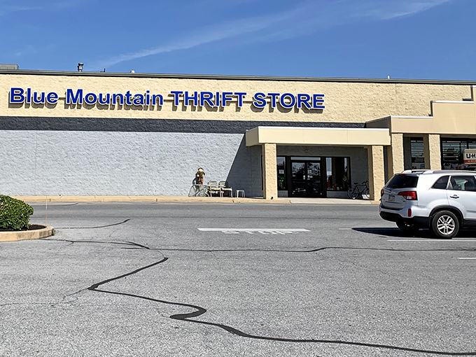 The iconic blue signage beckons bargain hunters like a retail lighthouse. This unassuming exterior houses treasures that would make any antique roadshow appraiser sweat with excitement.