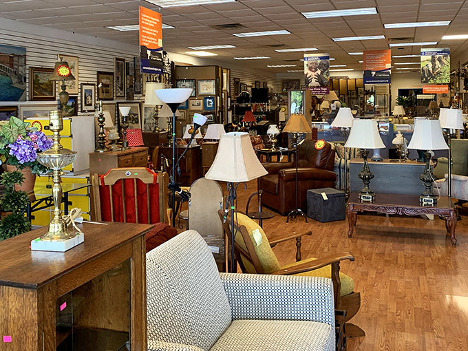 The furniture section at Care & Share is a time-traveler's dream, where vintage lamps and solid wood treasures await their second chance at making a home cozy.