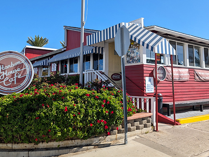 The iconic red exterior of Harbor House Cafe stands out like a beacon of comfort food hope along PCH, complete with those classic blue and white striped awnings.