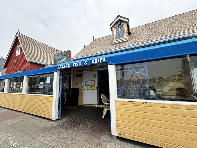 The iconic blue awning of Harbor Fish & Chips stands as a beacon for seafood lovers, promising simple pleasures done extraordinarily well.