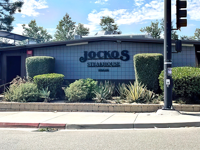 The unassuming exterior of Jocko's promises no frills, just thrills for your taste buds. Those wine barrels aren't decorative—they're a preview of the unpretentious authenticity waiting inside.