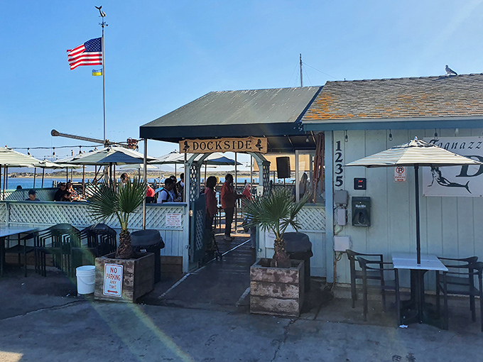 Waterfront dining doesn't get more authentic than this&mdash;Tognazzini's Dockside Too sits right on the wooden planks where your lunch was probably swimming yesterday morning.