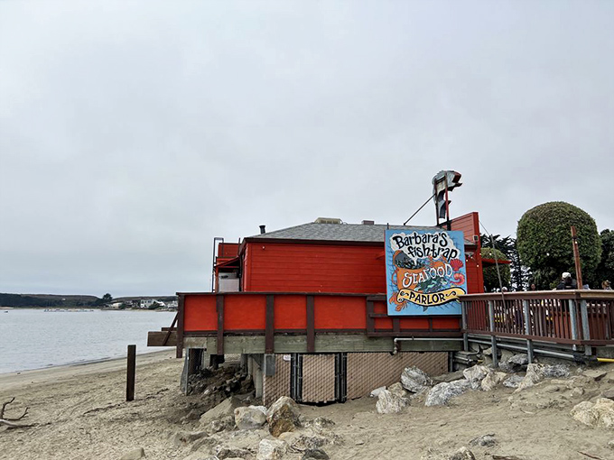 The little red shack by the sea isn't trying to impress anyone, yet somehow manages to impress everyone who visits.