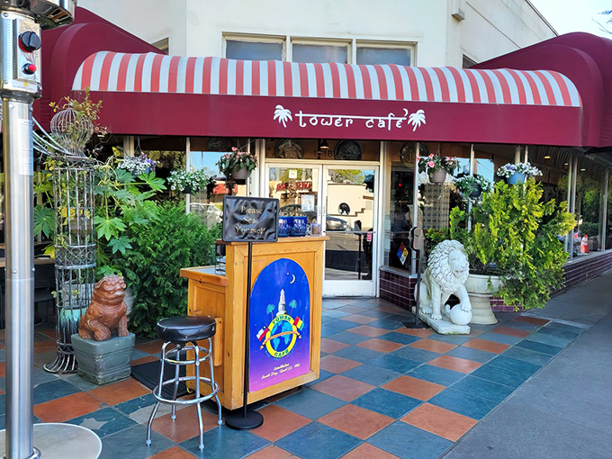 Stone lions and lush greenery stand guard at Tower Caf&eacute;'s entrance, like bouncers at the world's most welcoming global food party.