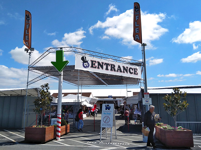 Welcome to retail therapy paradise, where your wallet gets lighter but your heart gets fuller.