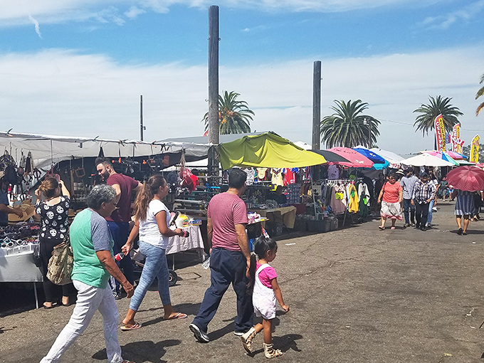 Palm trees stand sentinel over a sea of colorful canopies where treasure hunters navigate the asphalt jungle of possibility. Every aisle promises discovery.
