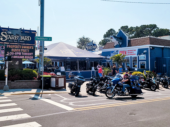 The iconic blue exterior of The Starboard stands like a beacon of good times on Dewey Beach's main drag, where motorcycles and memories gather in equal measure.