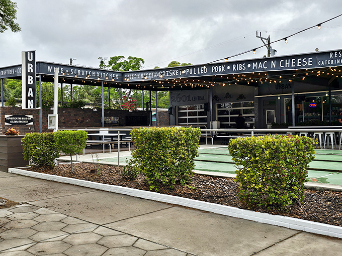 Twilight transforms Urban Brew's patio into a magical oasis where string lights twinkle like fireflies and the aroma of smoked meats beckons hungry souls.