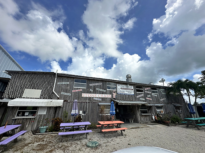 This weathered beauty looks like it survived every hurricane since the Nixon administration&mdash;and probably has the stories to prove it.