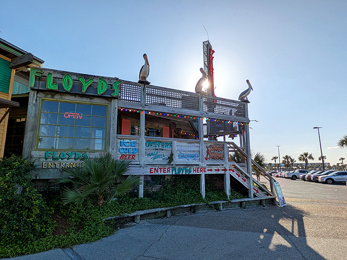 Neon dreams and pelican sentinels welcome you to Floyd's, where the weathered wood exterior promises authentic coastal delights inside.