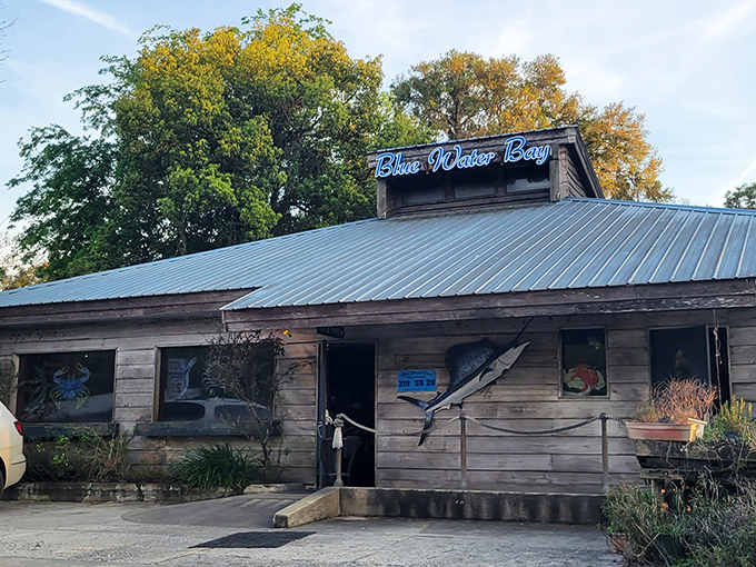 The weathered wooden exterior of Blue Water Bay screams "authentic Florida seafood" louder than a pelican diving for dinner. Pure coastal charm!
