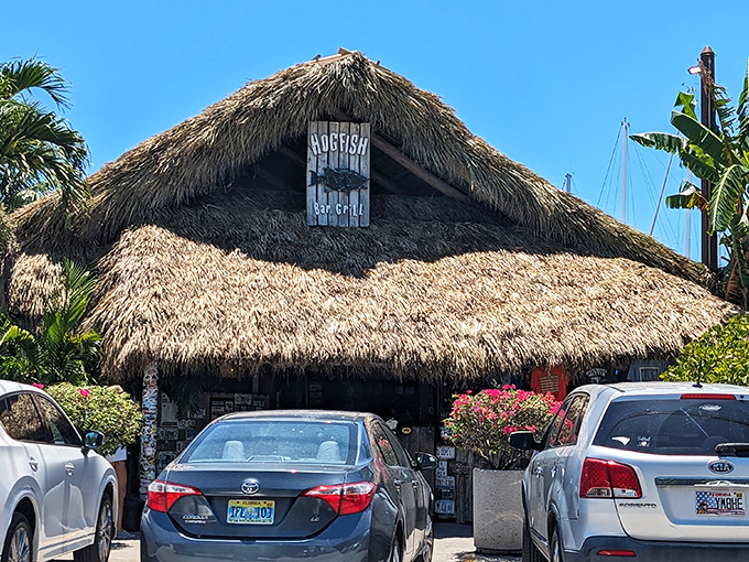 The thatched-roof entrance to Hogfish Bar & Grill looks like a postcard from Old Florida&mdash;before developers discovered paradise and added valet parking.