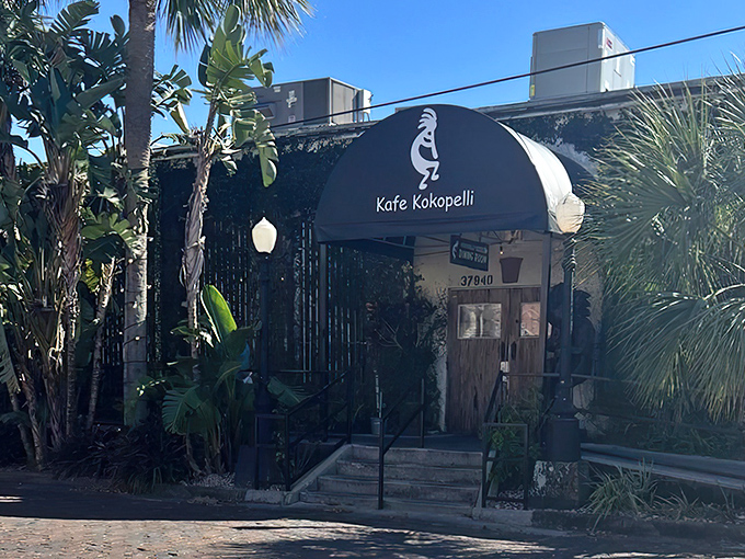 The unassuming exterior of Kafe Kokopelli hides a culinary wonderland within, like finding a diamond in Florida's sandy rough.