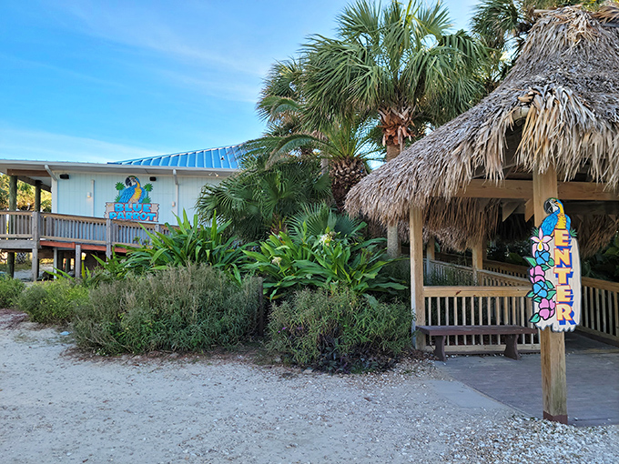 Where thatched roofs meet turquoise waters&mdash;the Blue Parrot's beachfront entrance promises Florida coastal dining without a hint of pretension.