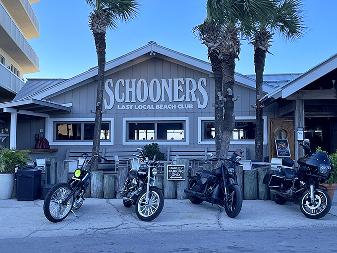 Schooners proudly wears its "Last Local Beach Club" title like a badge of honor, with weathered pilings and palm trees completing the perfect Florida postcard setting. 