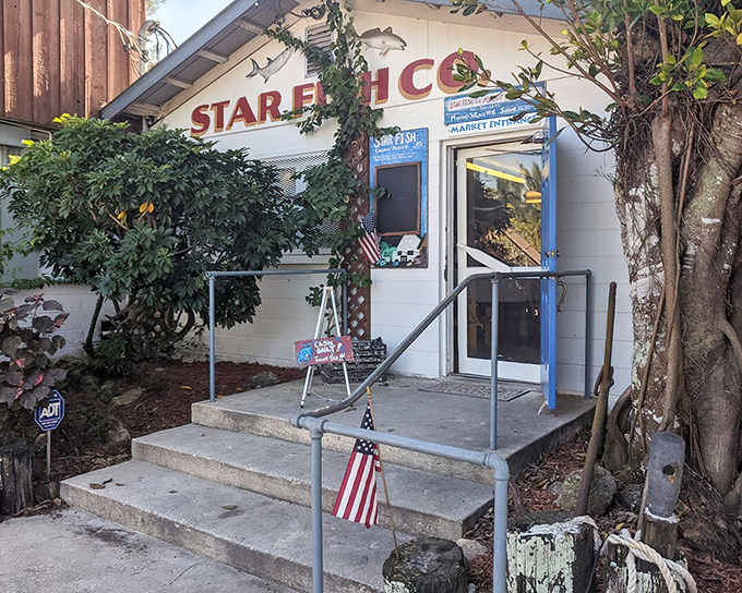 The unassuming entrance to Star Fish Company belies the seafood treasures within. Florida's best culinary experiences often hide in plain sight.