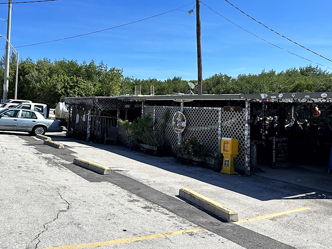 The unassuming exterior of Alabama Jack's might fool you, but locals know this weathered facade hides seafood treasures worth the journey.