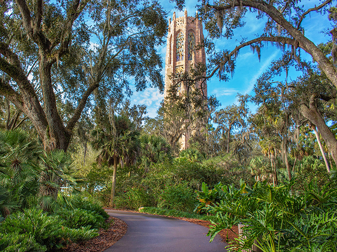 Nature's cathedral awaits as Bok Tower rises majestically above the lush Florida landscape, a pink marble sentinel guarding paradise.