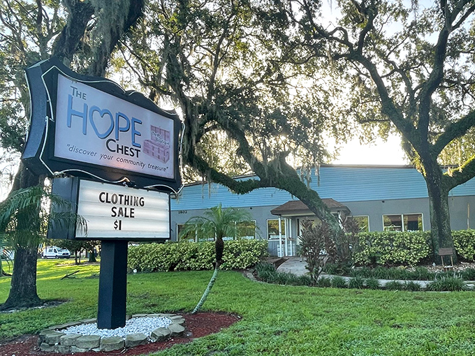 Nestled under Florida's iconic Spanish moss, The HOPE Chest's welcoming blue exterior promises treasures within. Community spirit meets bargain hunting at its finest.