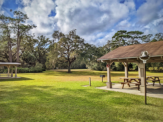 Nature's own pavilion: Majestic oaks create a cathedral-like canopy over pristine picnic areas, where Florida history and tranquility merge in perfect harmony.