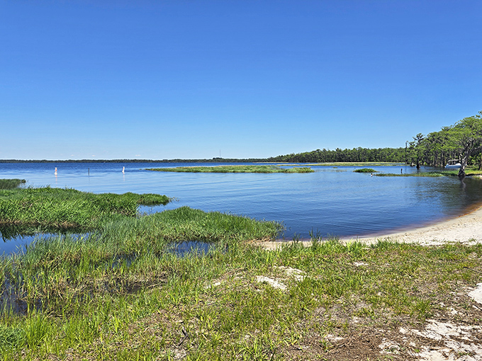 Crystal clear waters meet pristine shoreline at Lake Louisa. Mother Nature showing off her best work without charging theme park prices.