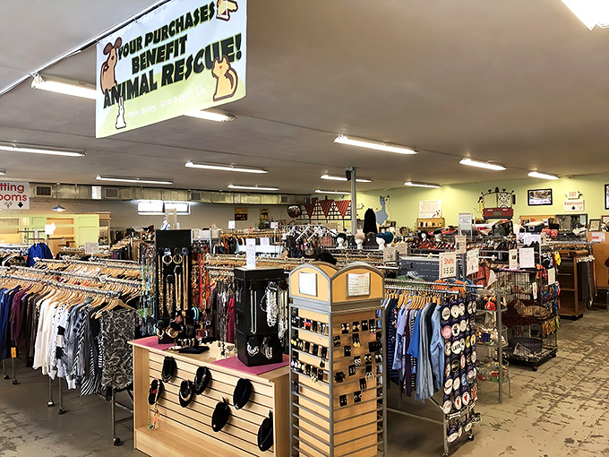 The unassuming brick façade of Second Life hides a wonderland of treasures within, like finding Narnia in a closet—but with better furniture options.