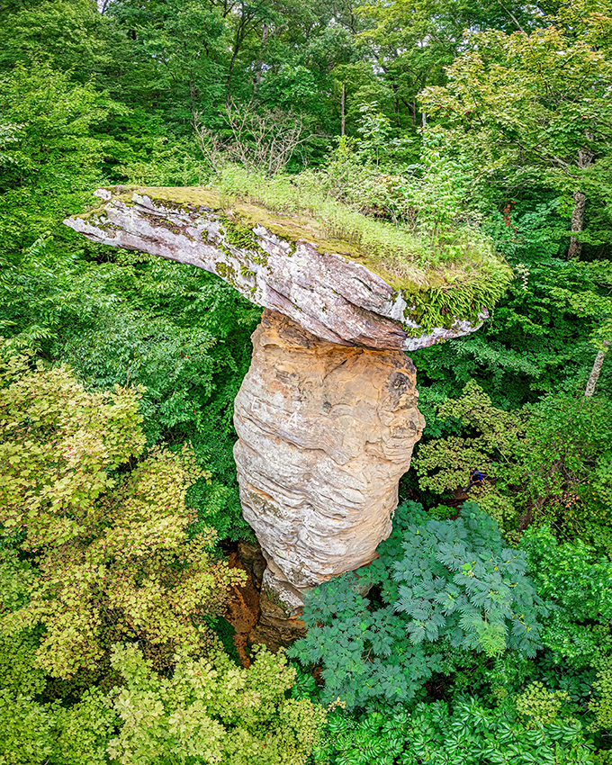 Nature's balancing act at its finest! Jug Rock stands proudly among the lush Indiana forest, looking like a prehistoric waiter carrying an impossibly heavy tray.