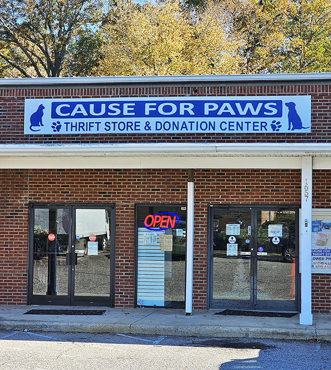 The unassuming brick exterior of Cause for Paws hides a wonderland of treasures within. Like finding the wardrobe to Narnia, but with vintage furniture instead of snow.