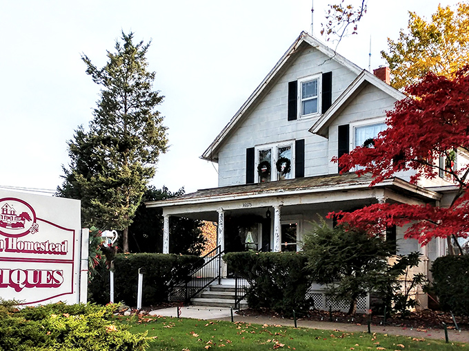 The classic white farmhouse with black shutters stands like a time capsule among fiery maple trees, beckoning treasure hunters with promises of yesterday.