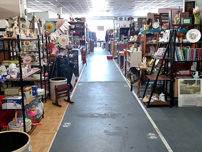 Wide aisles lead to narrow rabbit holes of discovery where time machines disguised as ordinary objects await their next passenger.