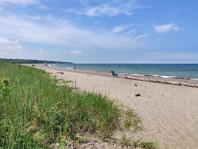 The golden stretch of Headlands Beach extends like nature's welcome mat, where Lake Erie meets Ohio in a surprising coastal embrace.