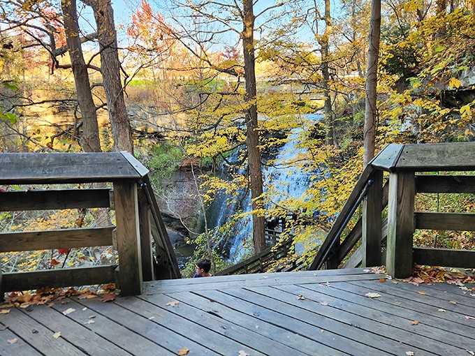 Nature's perfect cascade – Brandywine Falls tumbles 65 feet over ancient rock layers, creating a hypnotic display that's worth every step of the journey.