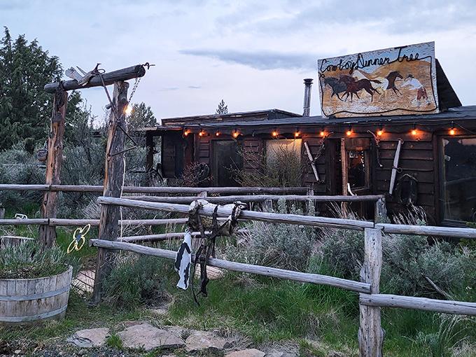 Welcome to the middle of nowhere! The Cowboy Dinner Tree stands defiantly against the Oregon high desert, promising culinary adventures worth every mile of the journey.