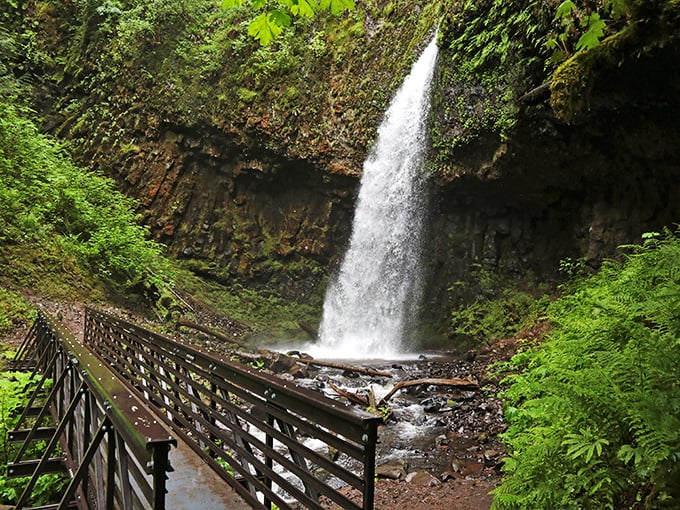 Nature's perfect plunge: Latourell Falls cascades 249 feet in a single dramatic drop, framed by a rustic footbridge that practically begs for contemplative moments.