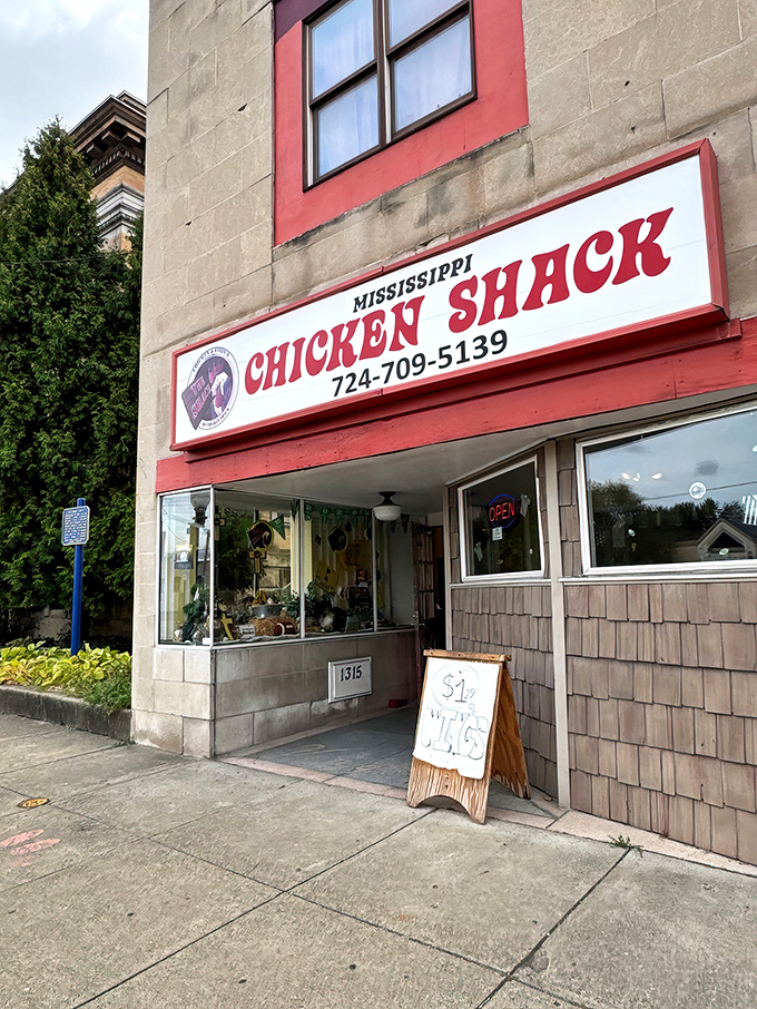 The red and white sign beckons like a lighthouse for hungry souls. Ms Chicken Shack's unassuming storefront hides culinary treasures within.