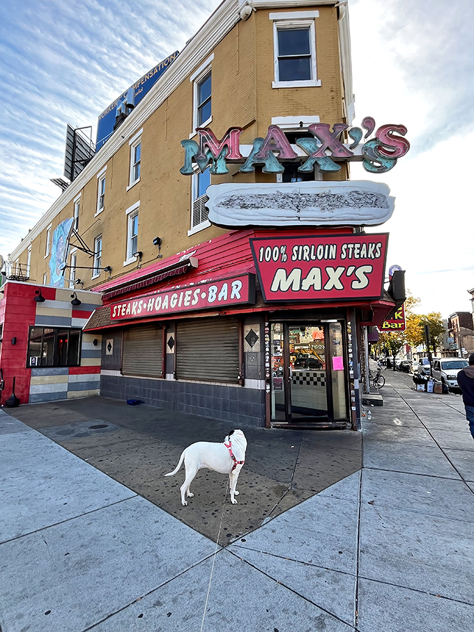 The iconic Max's Steaks sign beckons hungry Philadelphians like a neon North Star. No frills, just the promise of cheesesteak perfection.