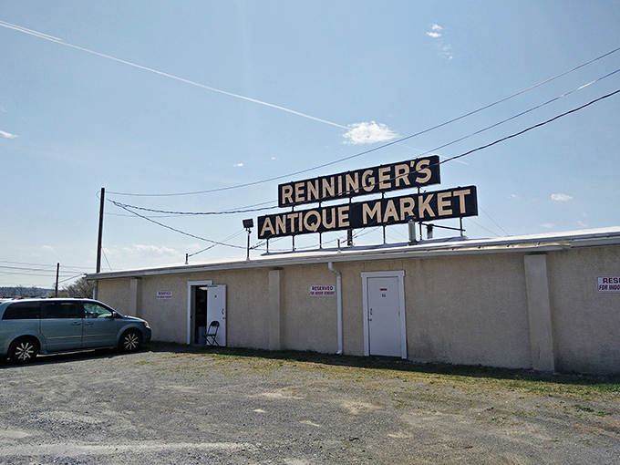 The treasure hunter's paradise stretches before you like an endless runway of possibility. Every table holds someone's past waiting to become part of your future.