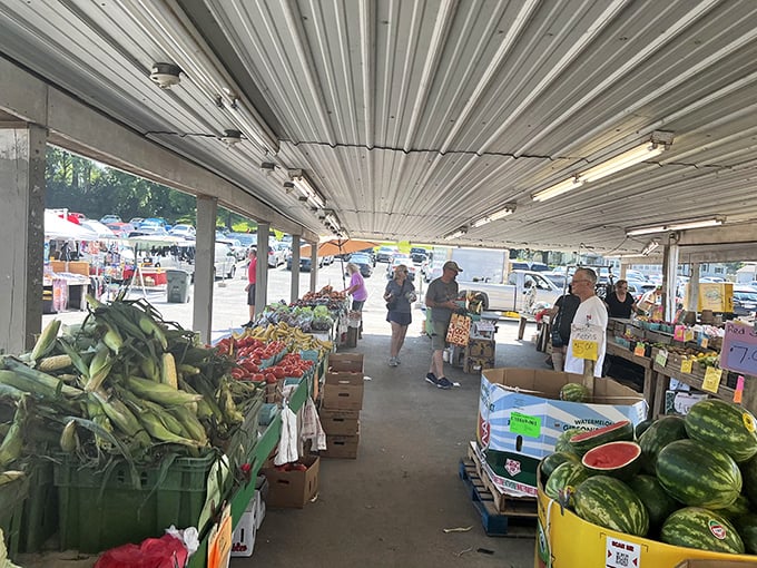 Bargain hunter's paradise! Cardboard boxes transform into treasure chests at Green Dragon's outdoor market, where one person's castoffs become another's must-haves.