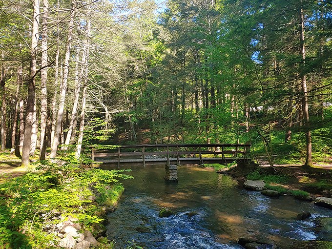 The wooden footbridge over Honey Creek creates one of those perfect postcard moments where time seems to stand perfectly still.