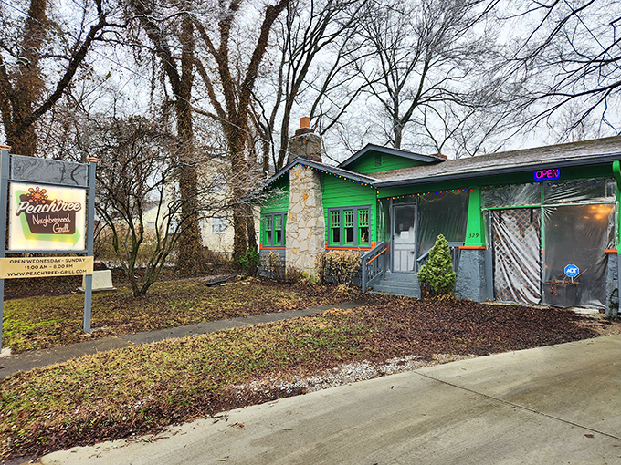 This unassuming green gem proves that the best treasures often hide behind the most modest facades.