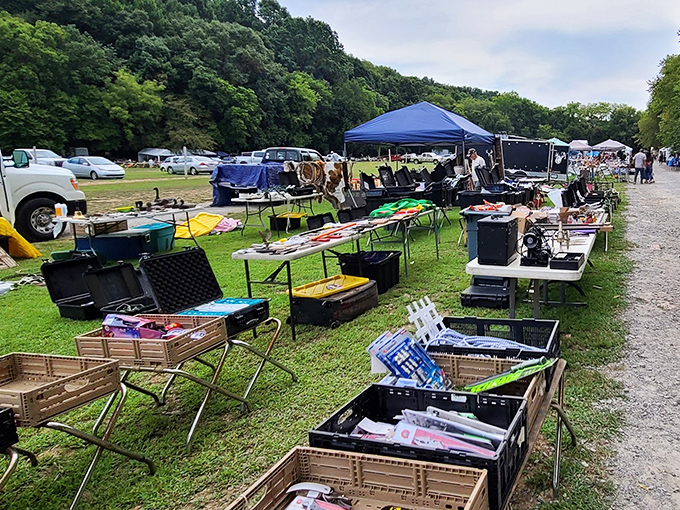 Treasure hunting begins! Black storage bins overflow with potential finds while vendors set up under blue canopies, creating the distinctive landscape of Dog Days Flea Market.