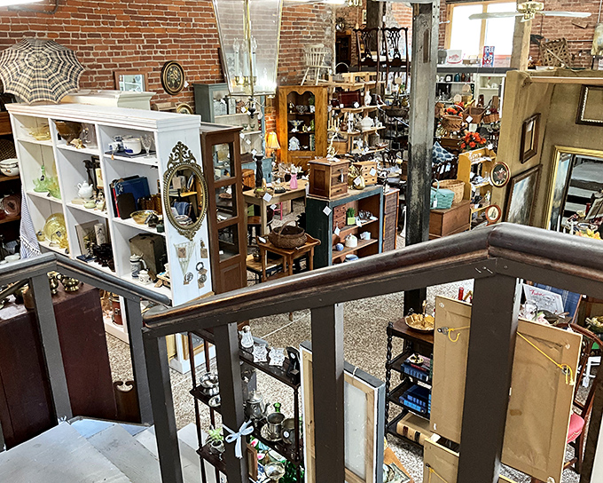 Books and treasures coexist in perfect harmony here, like a library where everything's for sale and nostalgia comes complimentary.